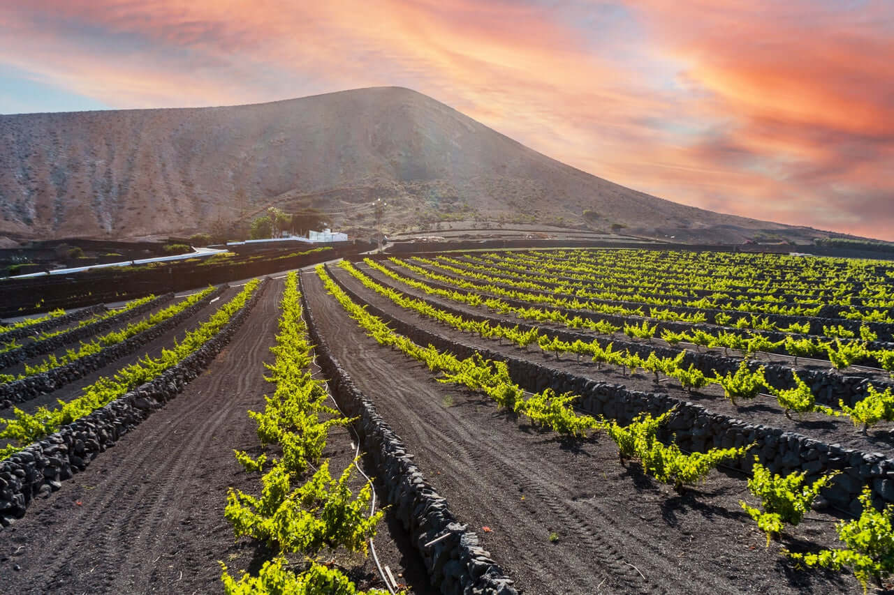 What are volcanic wines | Mineravi